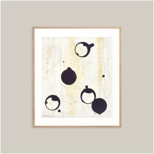 Shop - Studio David Band