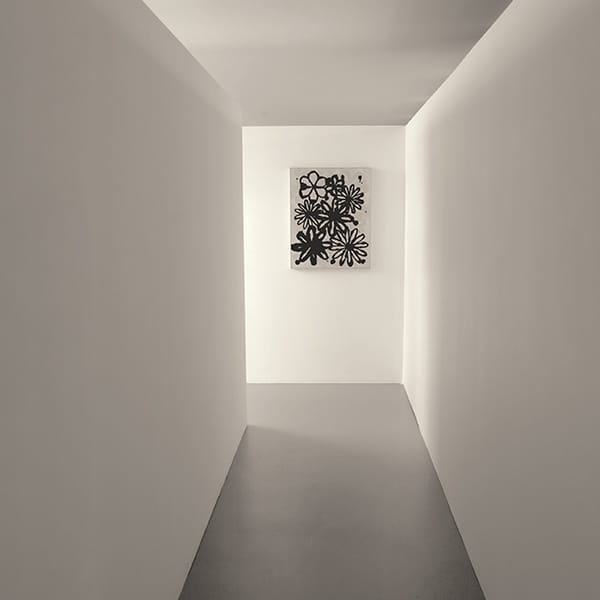 David Band - Studio David Band